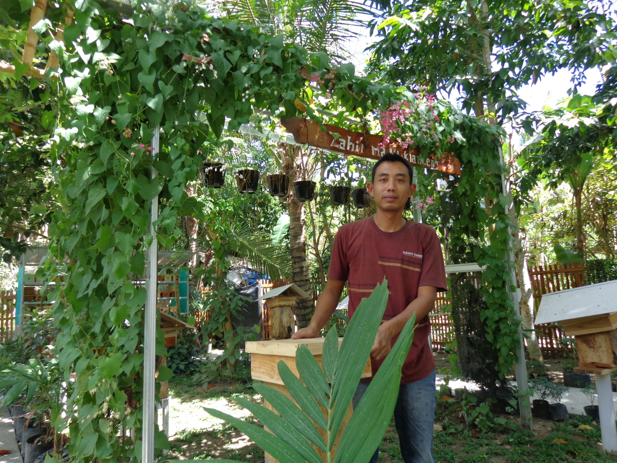 Budidaya Lebah Lanceng: Satu Rumah Satu Kotak – mandiripangan.com